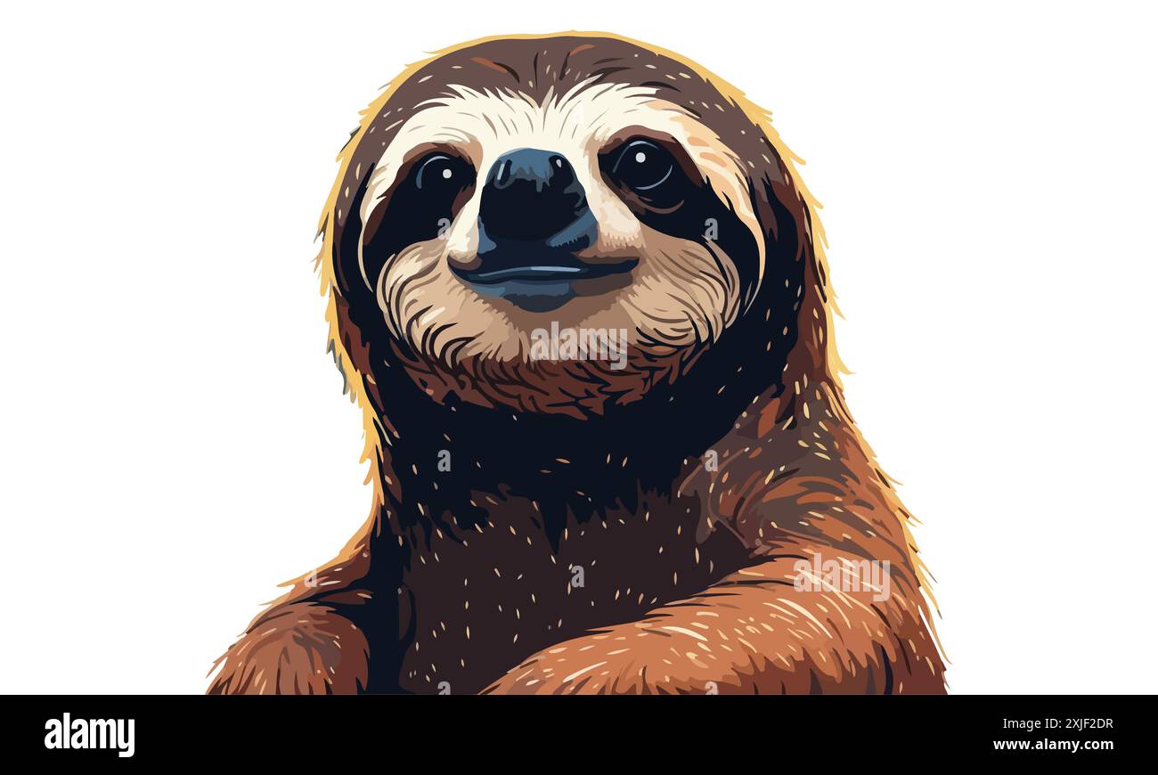 Sloth Galaxy Style Vector Illustration Stock Vector Image & Art - Alamy