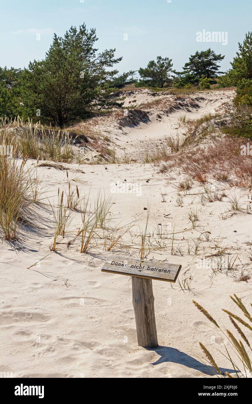 Sand dunes, trees, keep-off-sign, hiking trail, nature reserve, Darßer ...