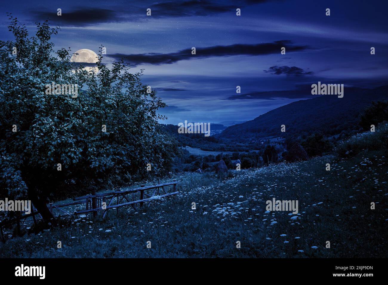 Spooky apple tree hi-res stock photography and images - Alamy