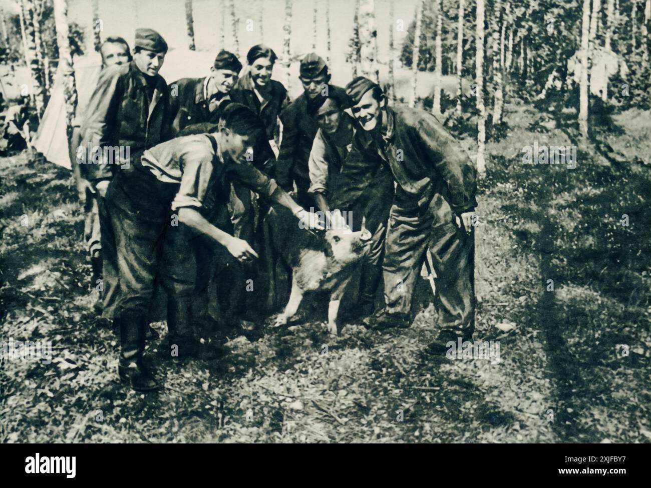 A photograph shows German soldiers gathered around their unit mascot, a ...