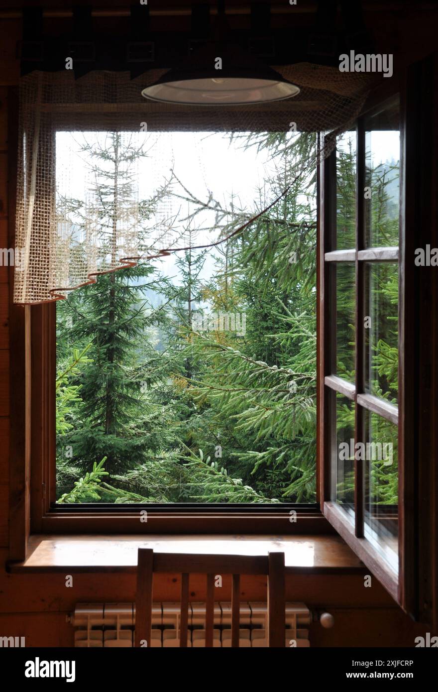 Window view of pine trees in mountains. Woden hut interior with opened ...