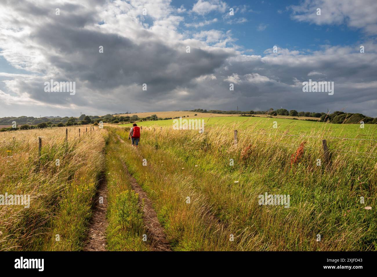 Lewes, July 16th 2024: A runner at Black Cap on the South Downs Stock ...