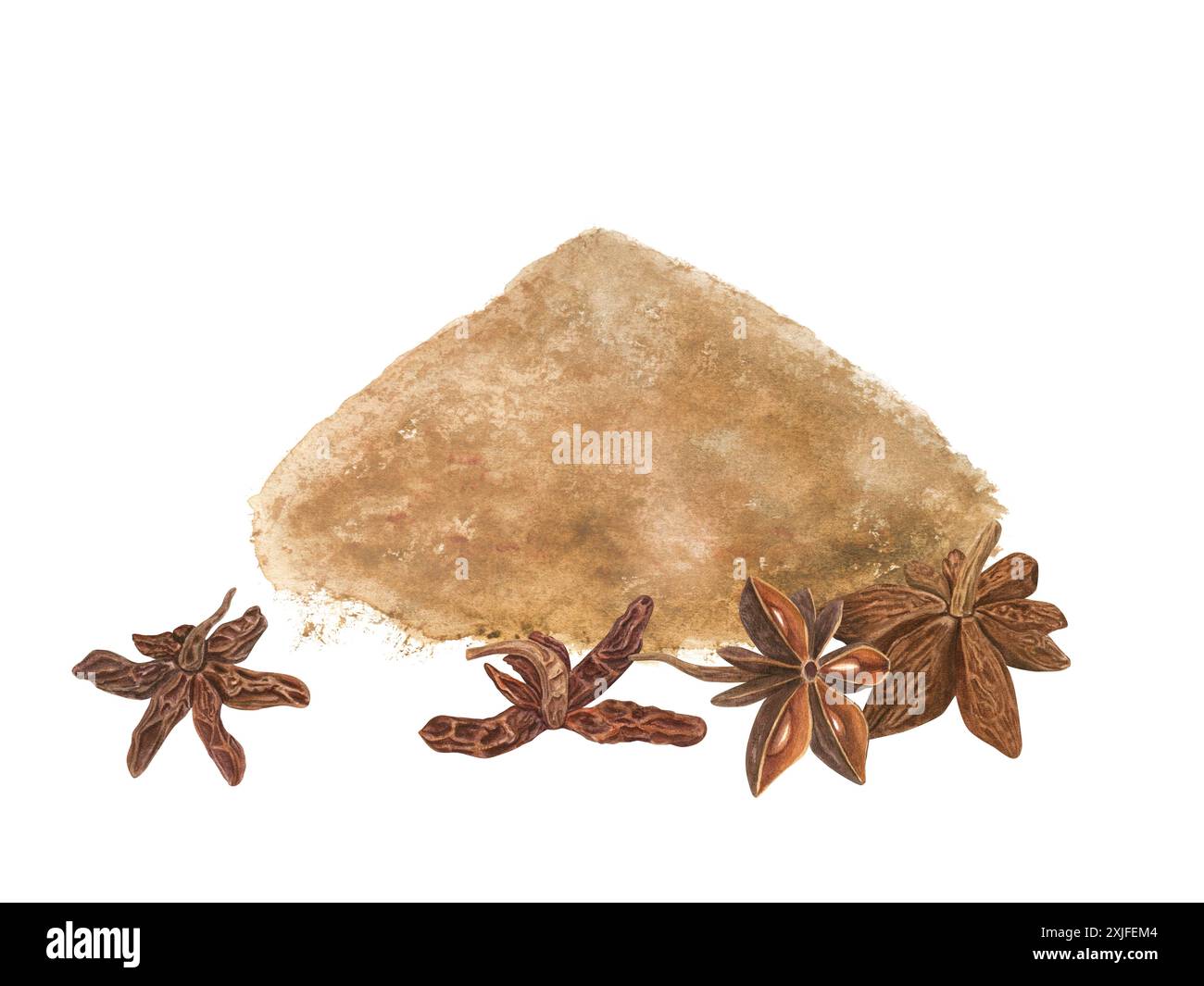 Star Anise seed and powder heap. Spicy aromatic Badian. Watercolor ...
