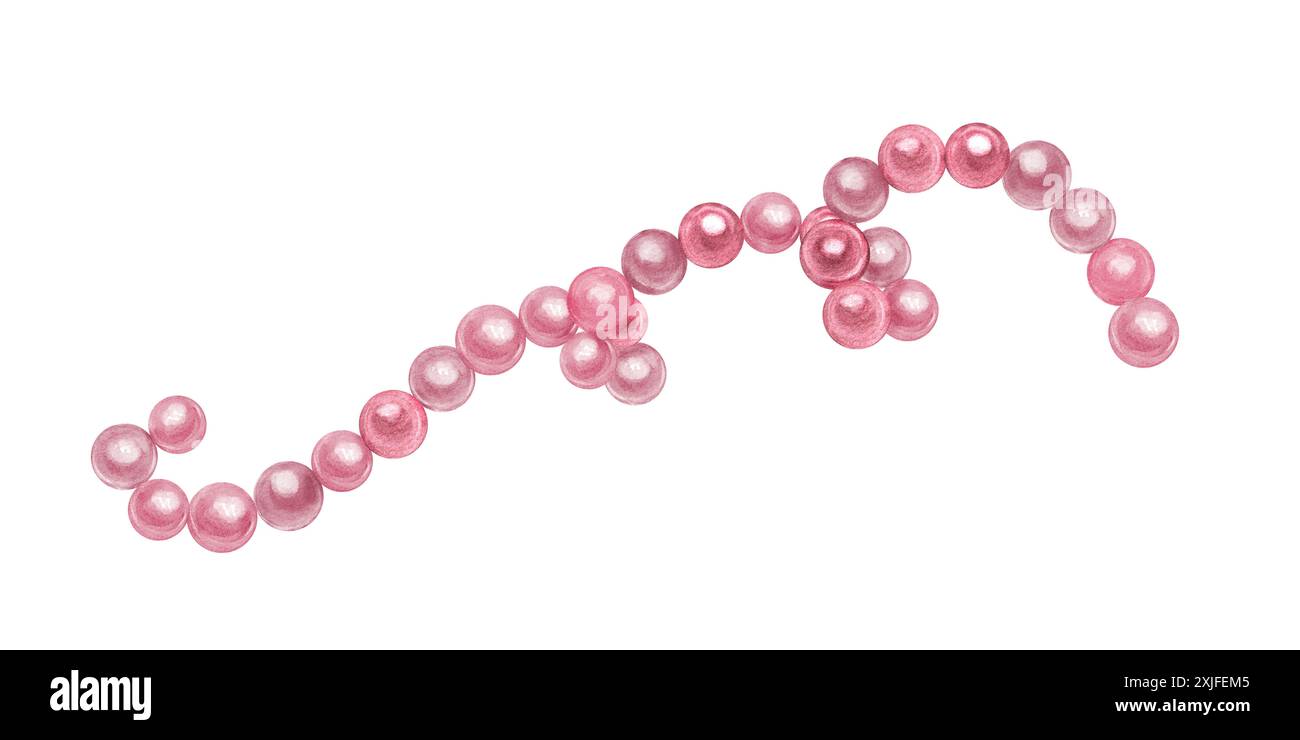 Pink pearl necklace. Strand of pearls. Female accessories for party ...