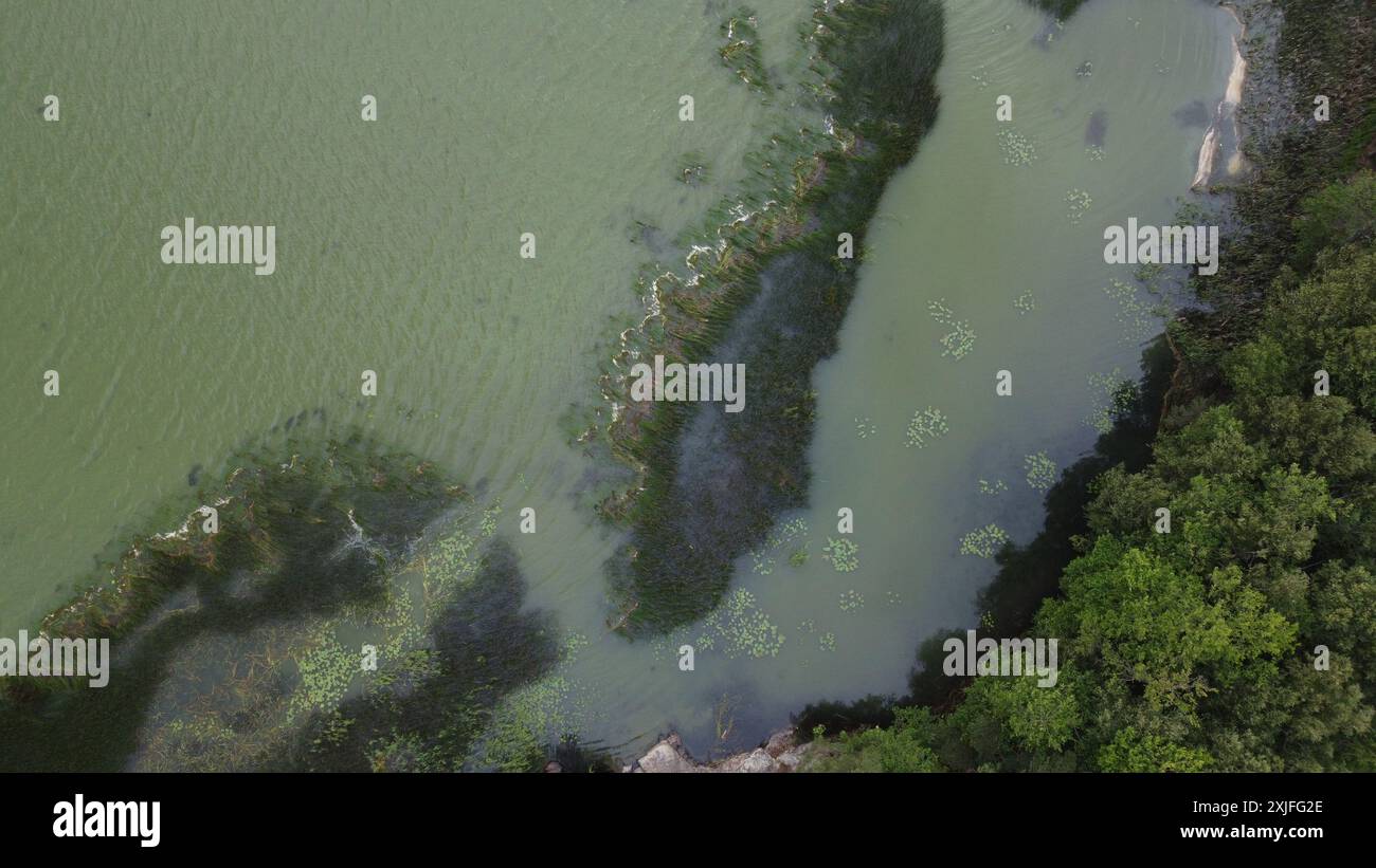 Cyanobacteriota hi-res stock photography and images - Alamy