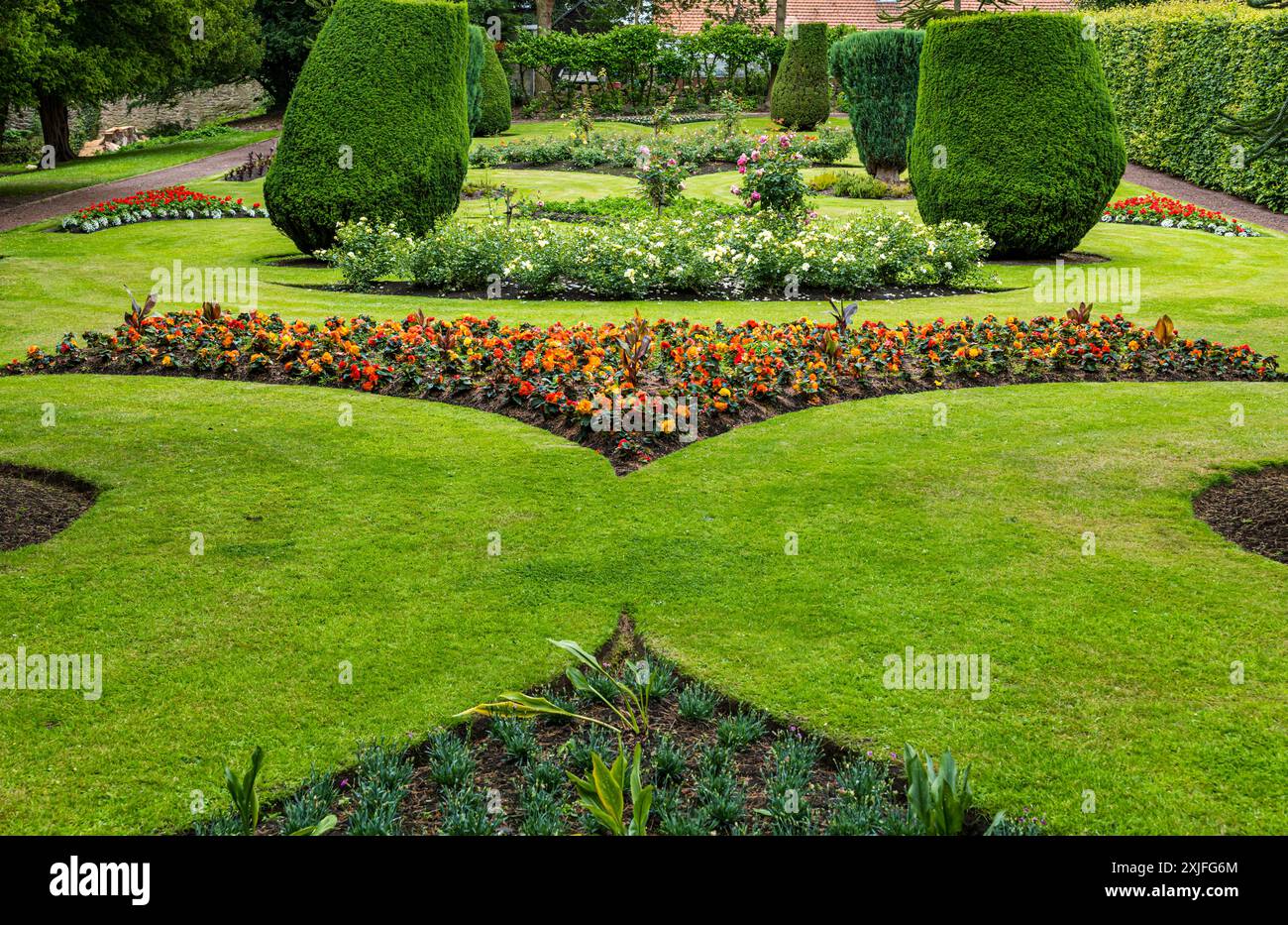 Yew topiary taxus baccata hi-res stock photography and images - Alamy