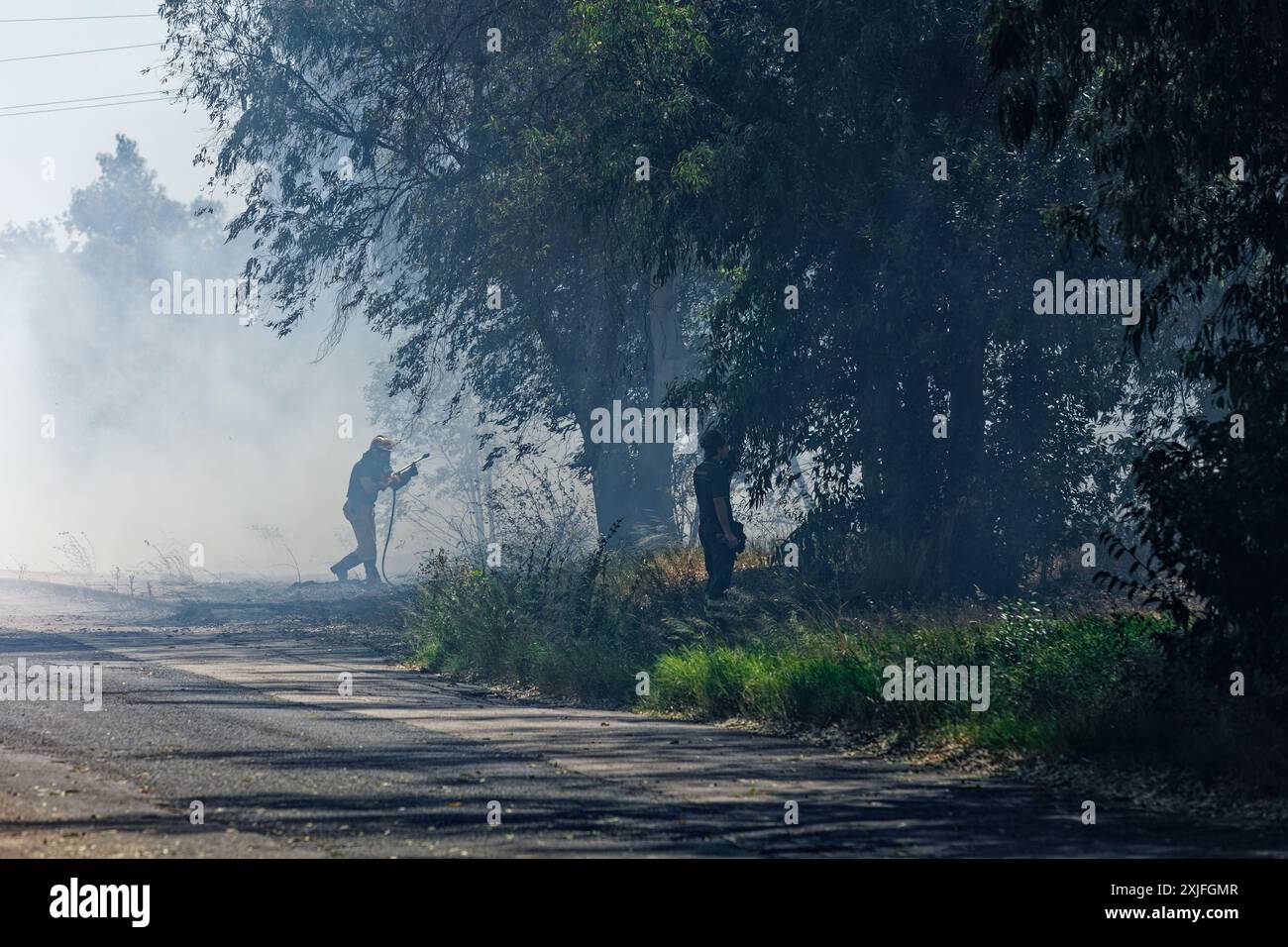 People escape from a fire with lots of smoke. tree devoured by flames ...