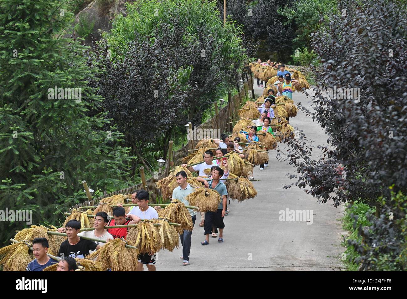 Crop bundles hi-res stock photography and images - Alamy