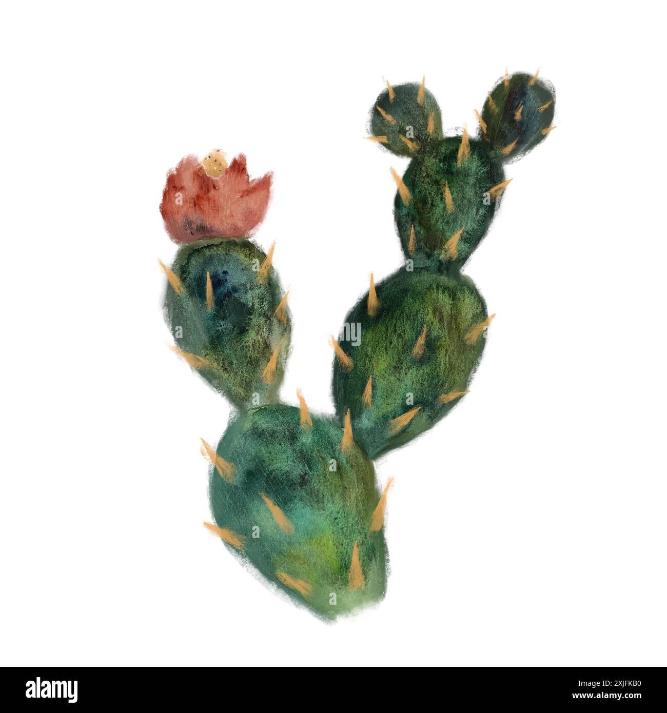 Artistic watercolor painting depicting a blooming prickly pear cactus ...