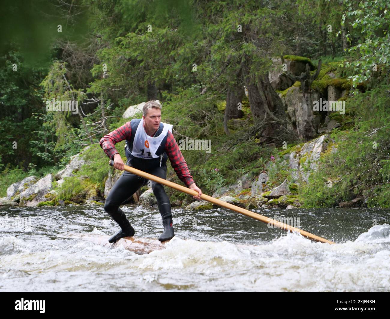 The lumberjack competition in Käylä. Kuusamo, Finland 2024. The ...