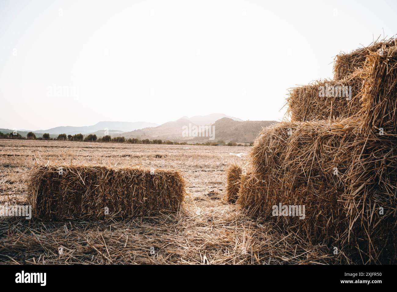 the village of ouazzane in Morocco Stock Photo - Alamy