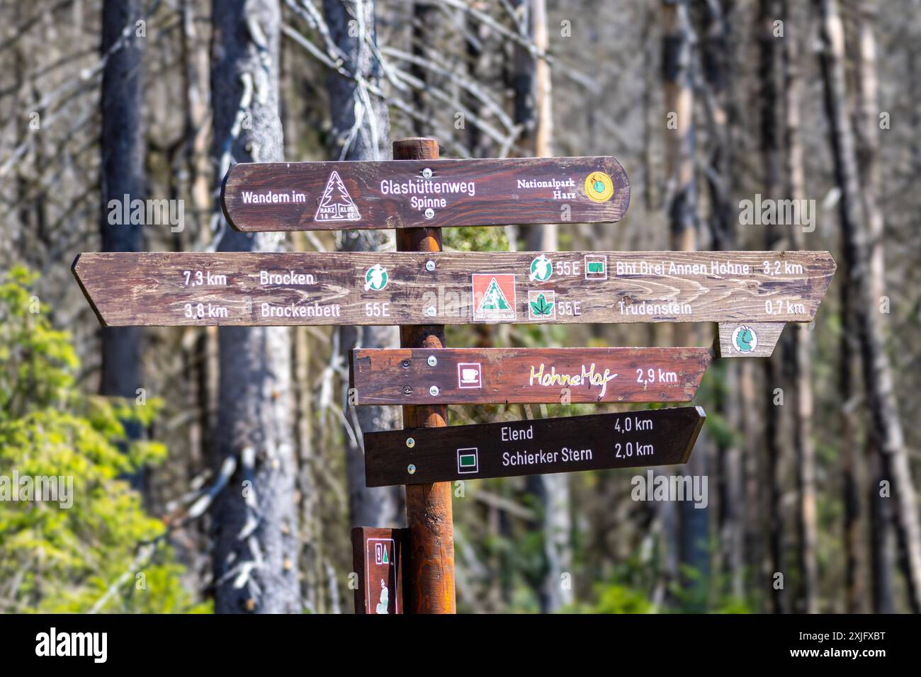 Harz, Deutschland 15. Juli 2024: Im Bild: Wanderwegweiser am Brocken ...