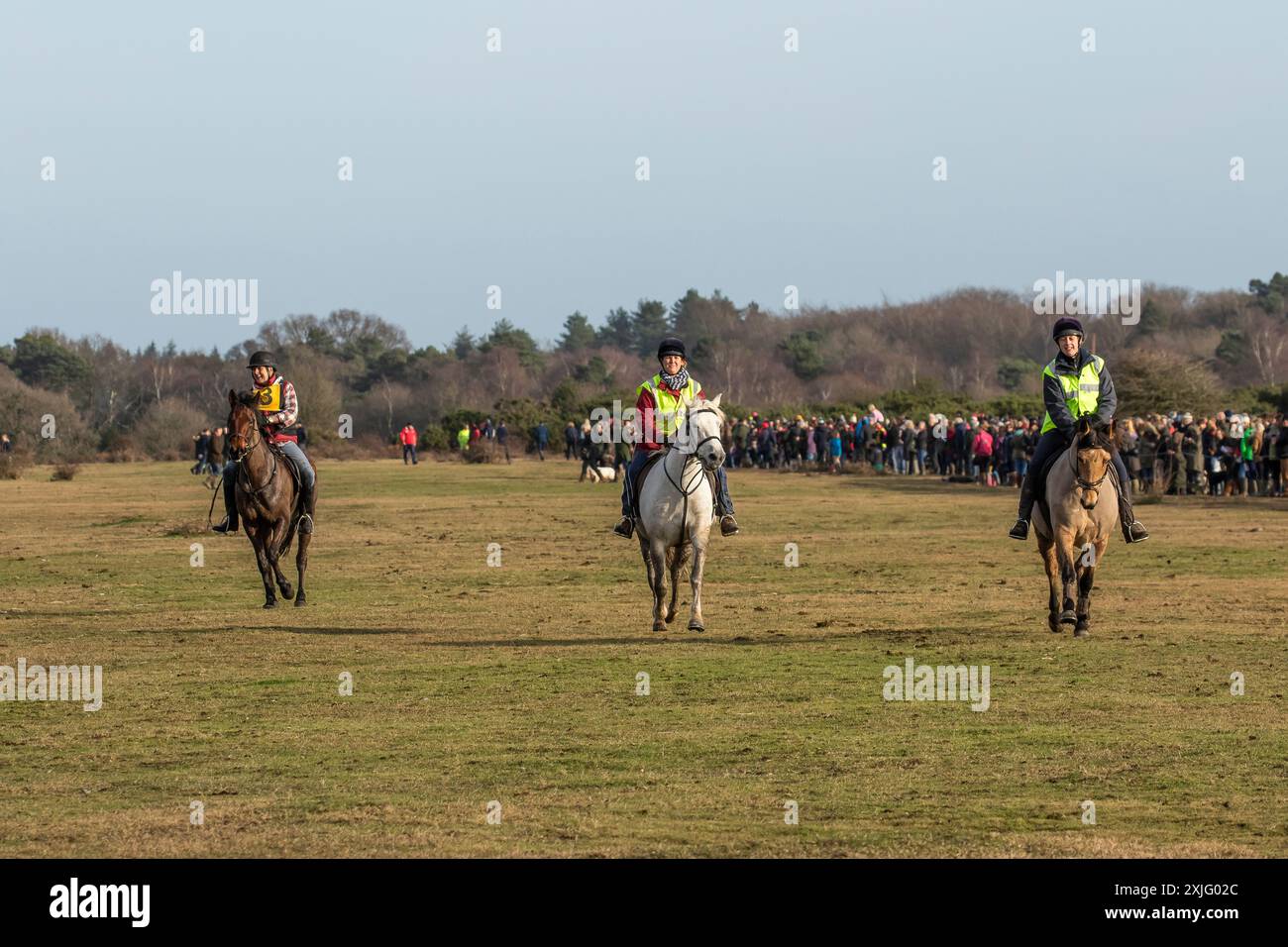 Annual New Forest point to point rhorse home straight to finishing line ...