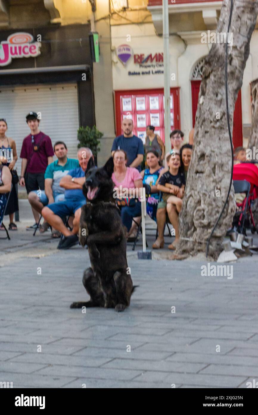VICTORIA, GOZO - JULY 9th 2024 Malta Police show with police dogs and ...