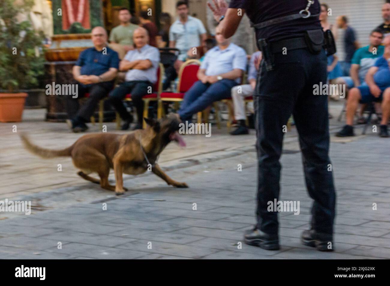 VICTORIA, GOZO - JULY 9th 2024 Malta Police show with police dogs and ...