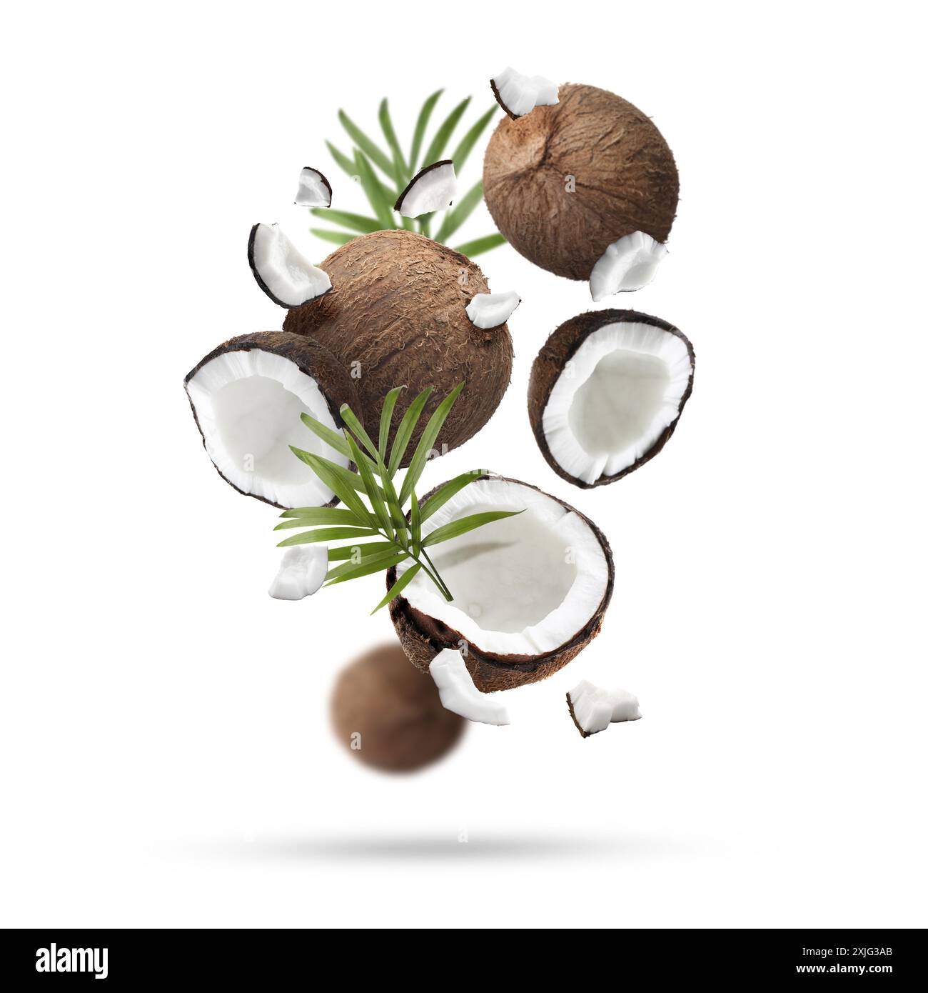 Coconuts and green leaves falling on white background Stock Photo - Alamy