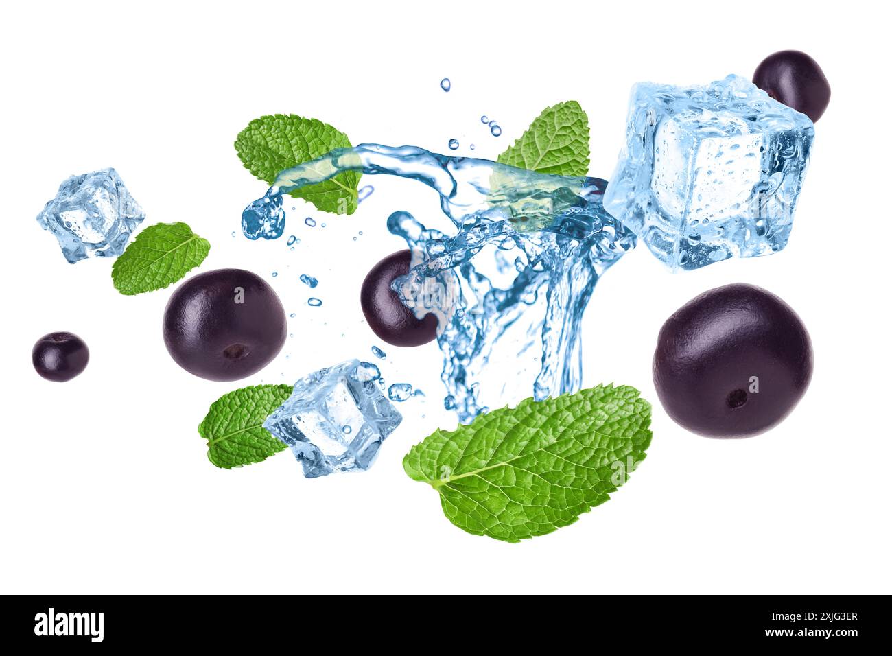 Acai berries, mint leaves, ice cubes and splash of water in air on ...