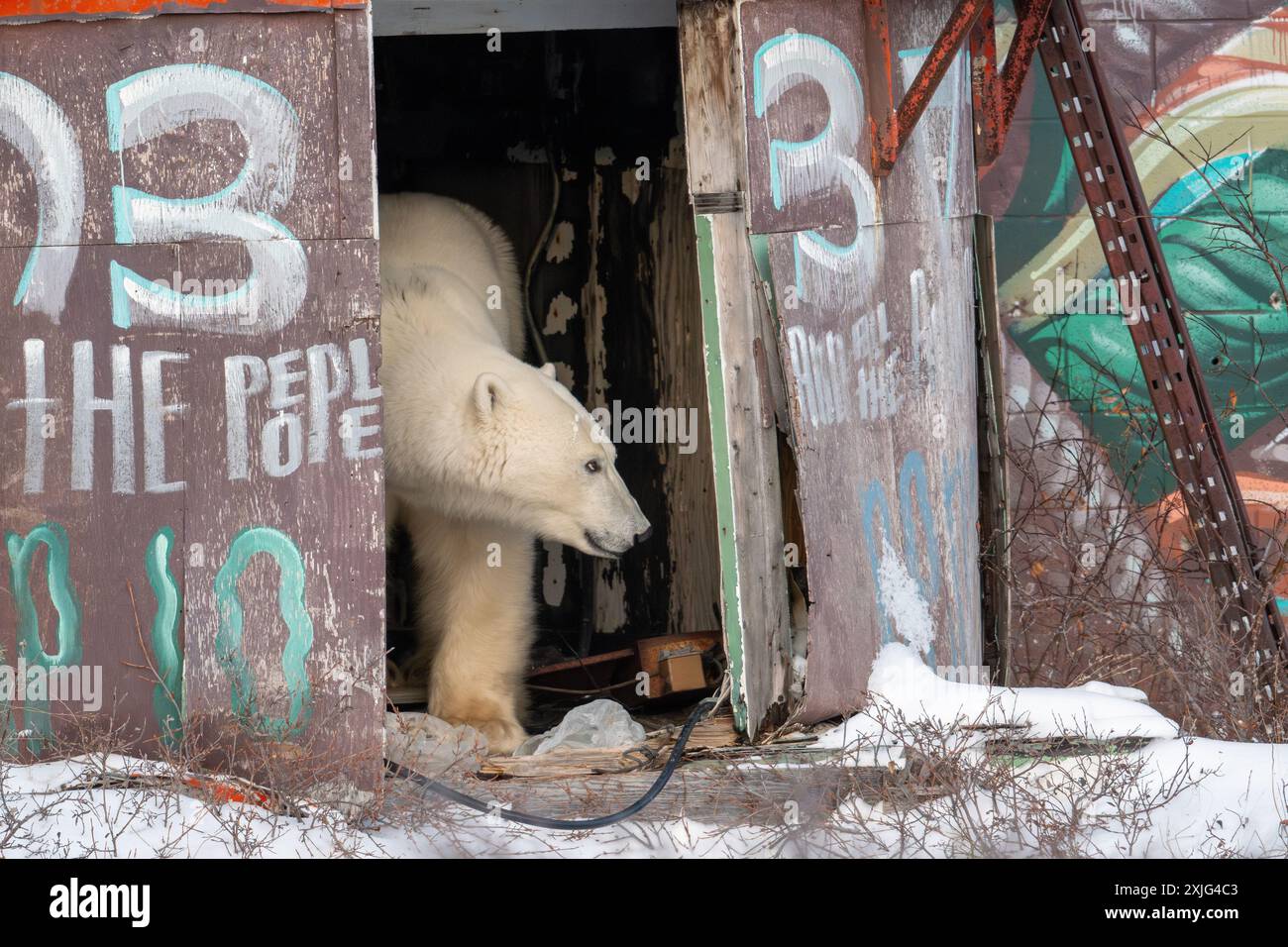 Churchill rocket research range hi-res stock photography and images - Alamy