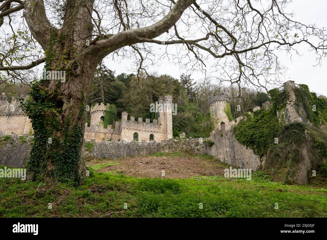 Gwrych Castle , Abergele, North Wales. A ruined country house now being ...