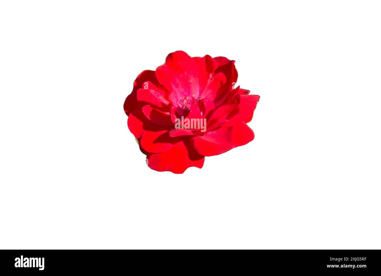 Rel image hi-res stock photography and images - Alamy