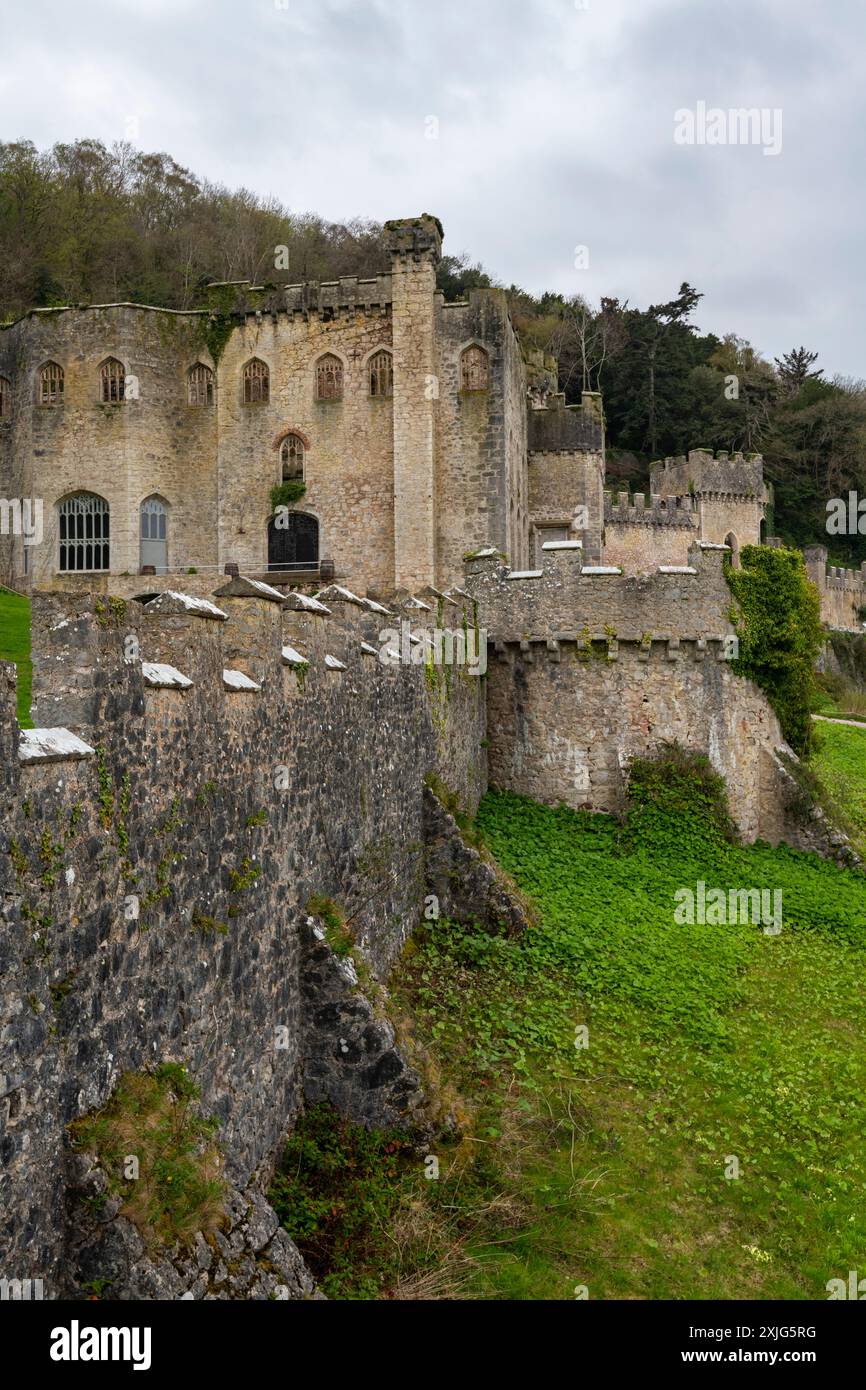 Gwrych Castle , Abergele, North Wales. A ruined country house now being ...