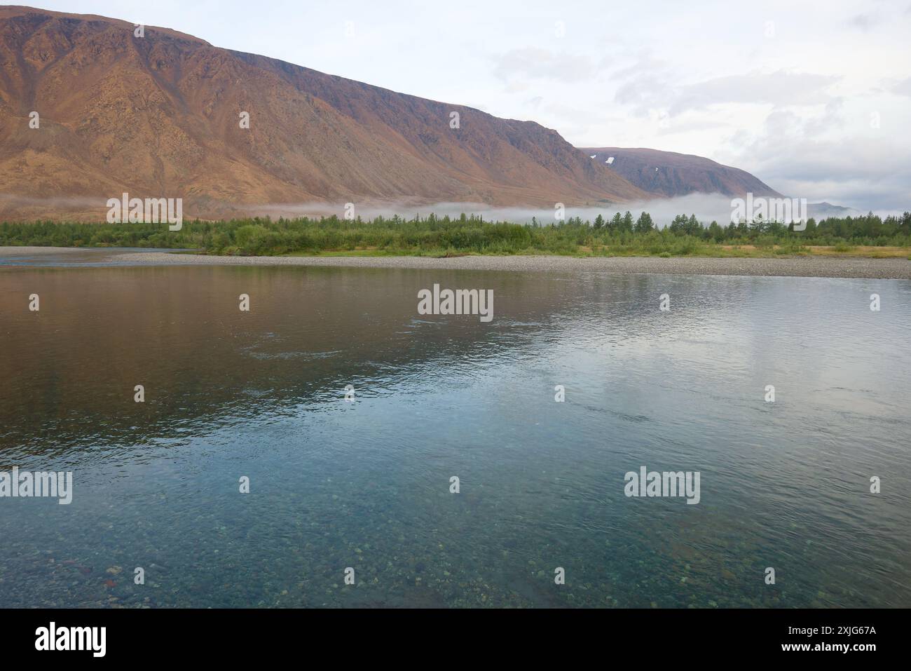 Transparent Sob river in August morning. Polar Ural, Russia Stock Photo ...