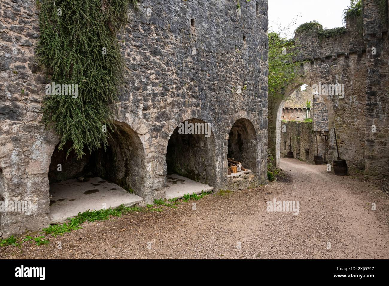 Gwrych Castle , Abergele, North Wales. A ruined country house now being ...