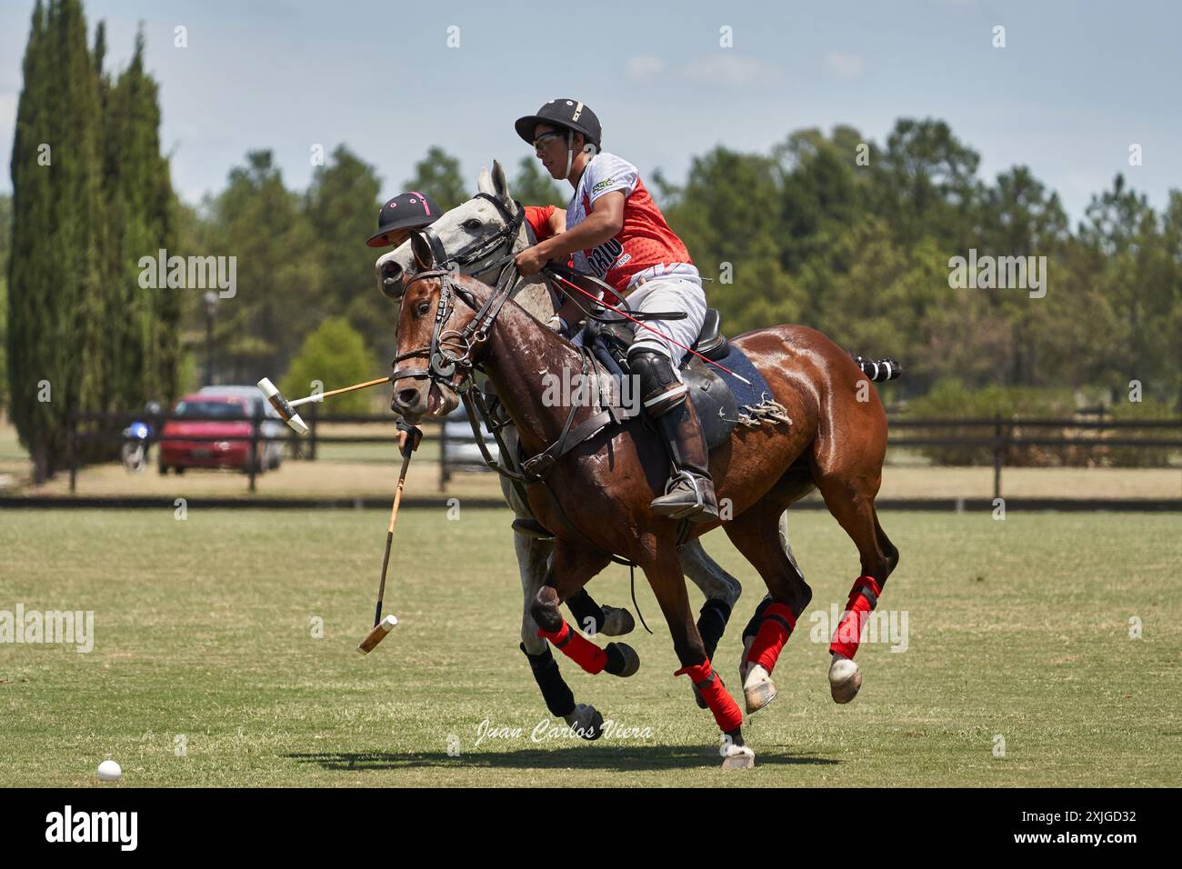 Sport polo championship Stock Photo - Alamy