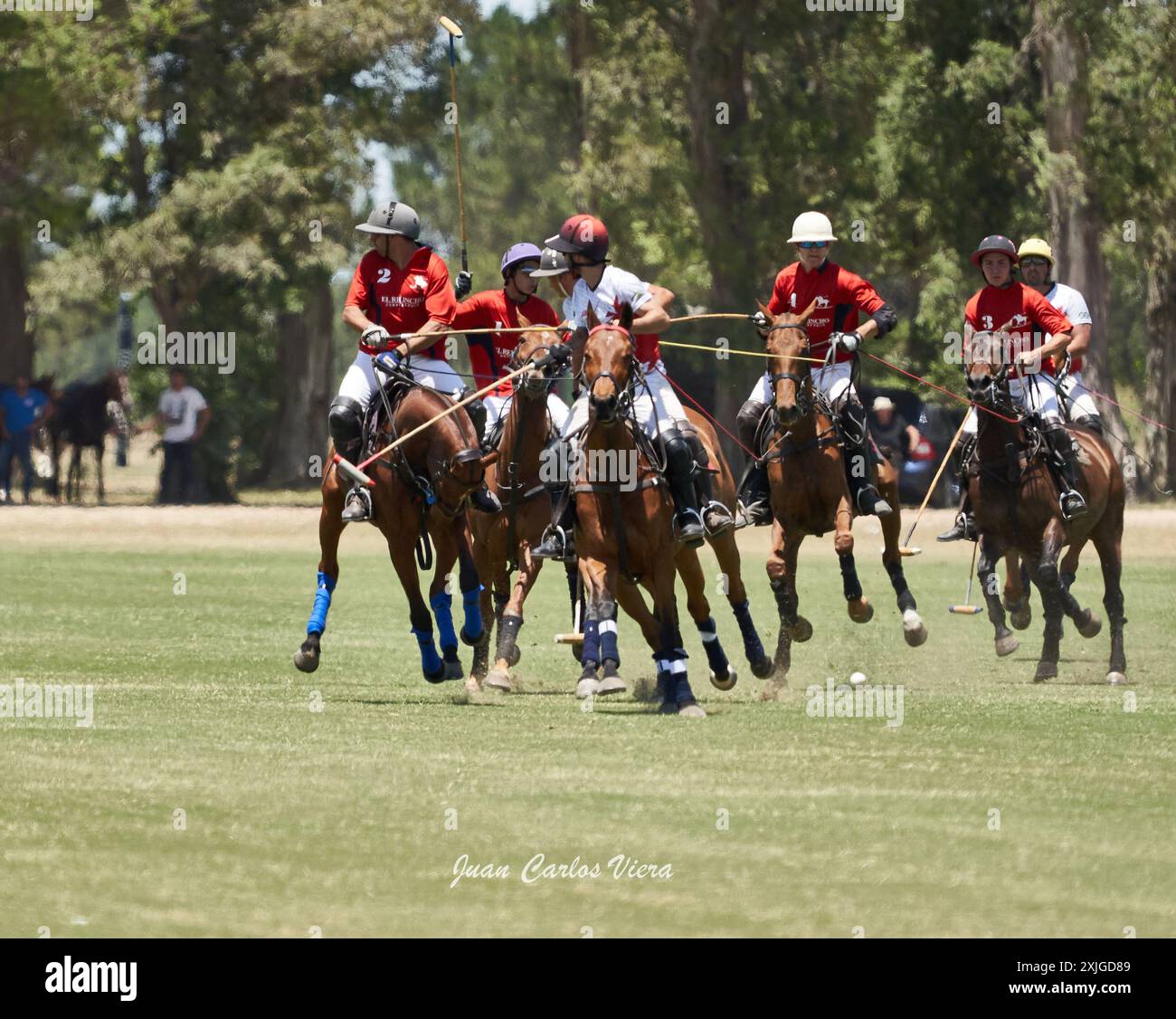 Vector polo shirt mockup template hi-res stock photography and images ...