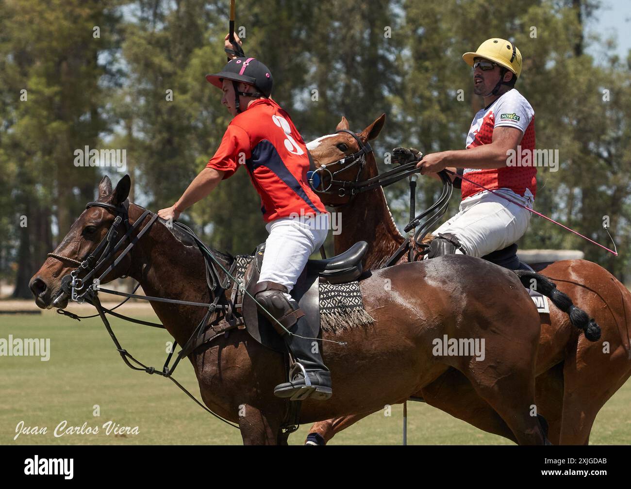 Sport polo championship Stock Photo - Alamy
