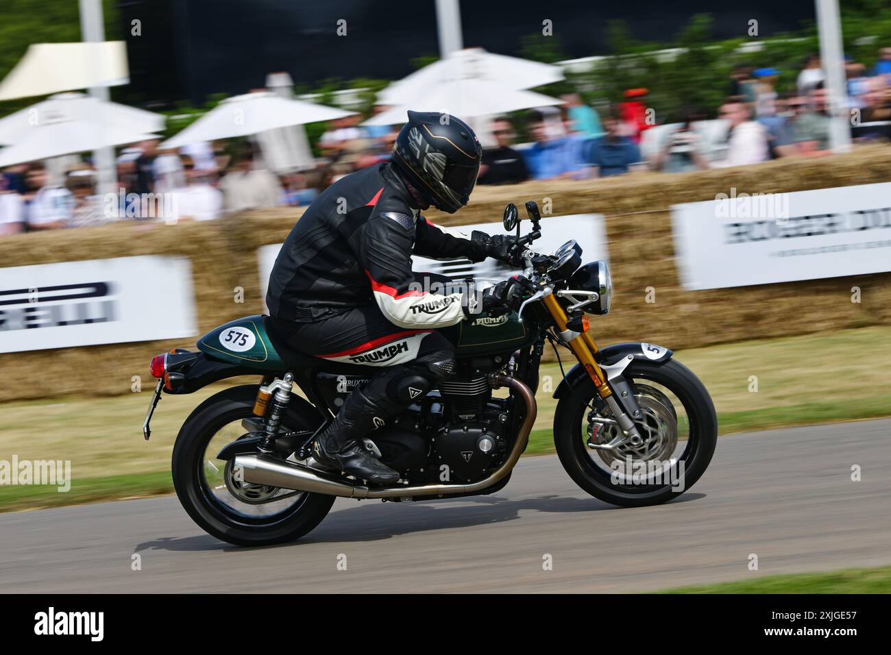 Triumph Thruxton Final Edition, First Glance Road Bikes, new bikes ...