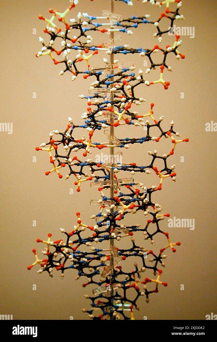 the human body and its anatomy and his nature the human body and its ...