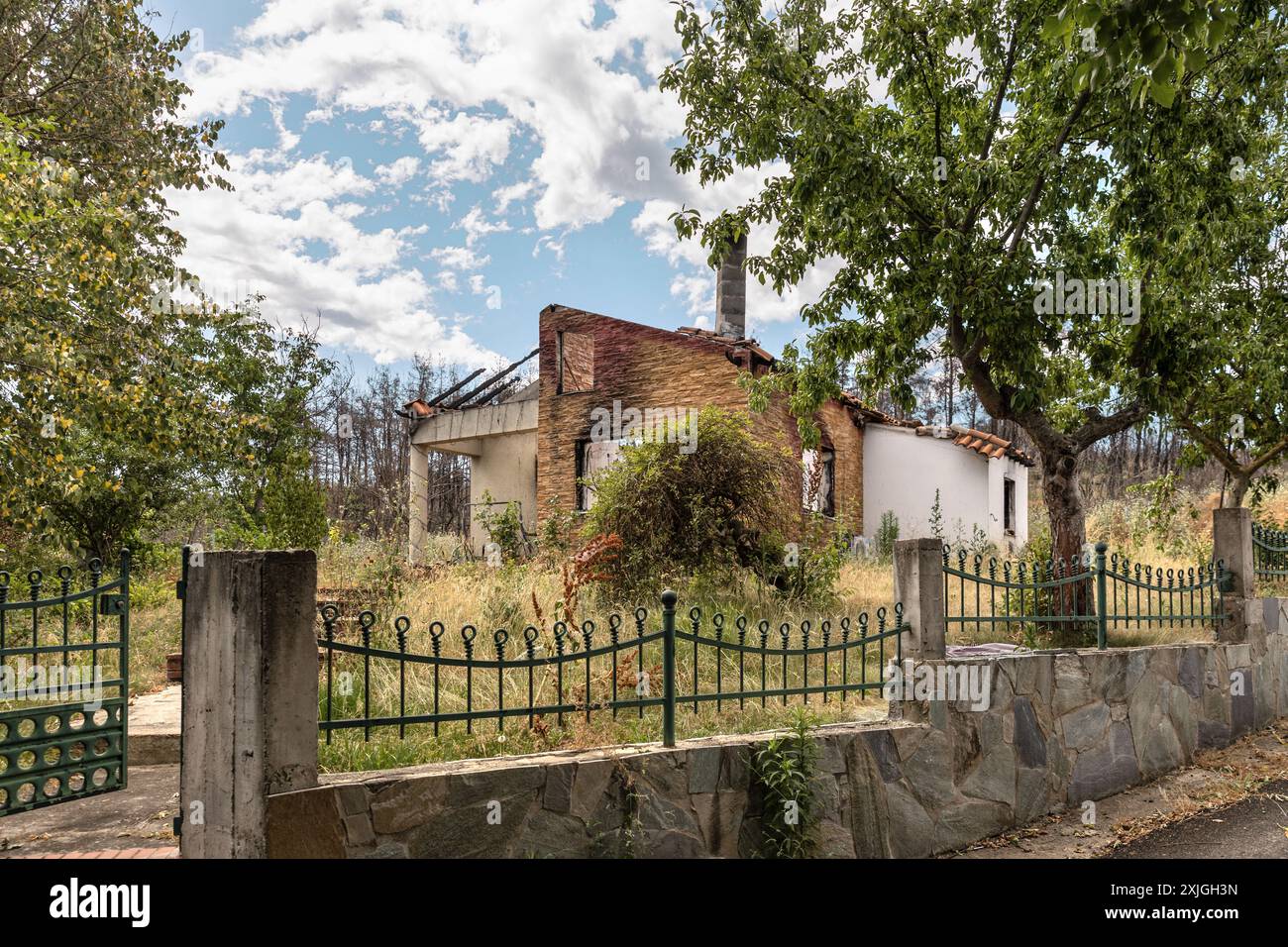 Devastating wildfire in Kirki village near to Alexandroupolis Evros ...
