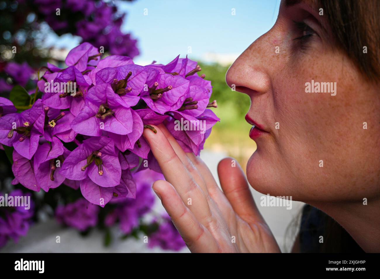 Woman smelling bougainvillea flowers hi-res stock photography and ...