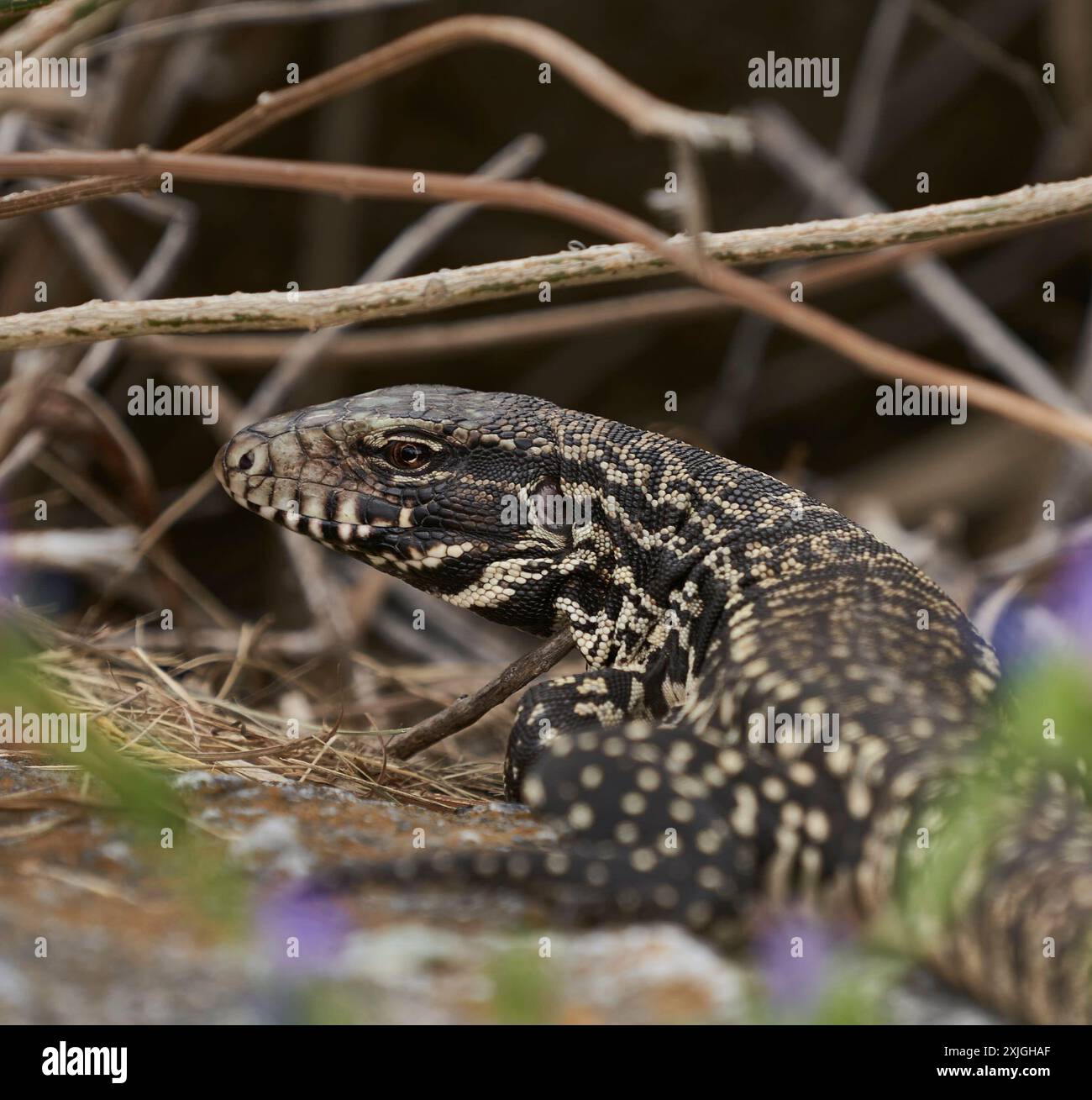 Futuristic museum empty hi-res stock photography and images - Alamy