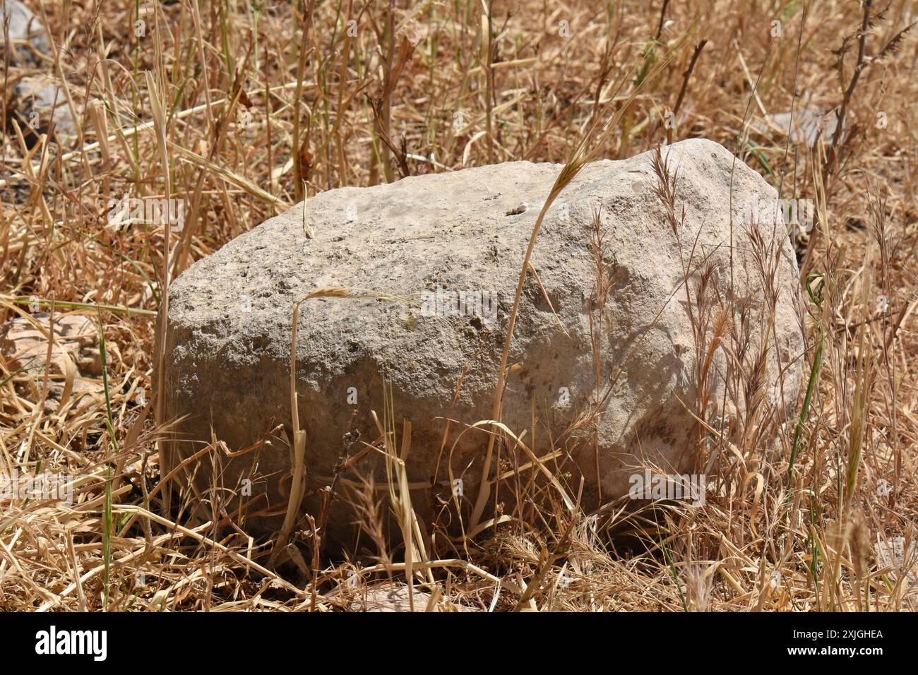 Big rock in the field Stock Photo - Alamy