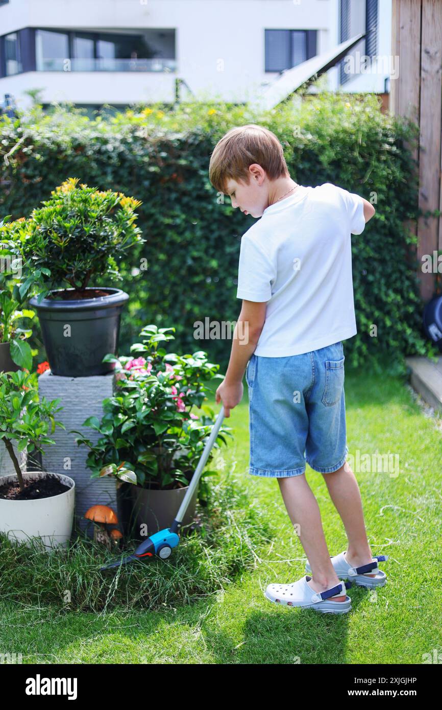 boy cutting grass in corners with special garden shears Stock Photo - Alamy