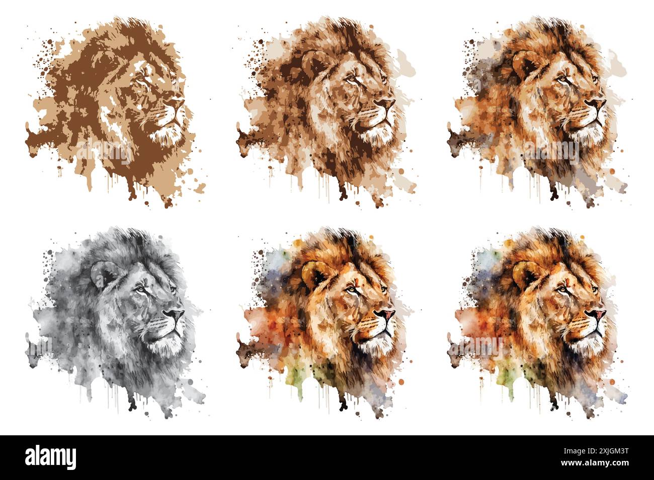 Full lion mane Stock Vector Images - Alamy