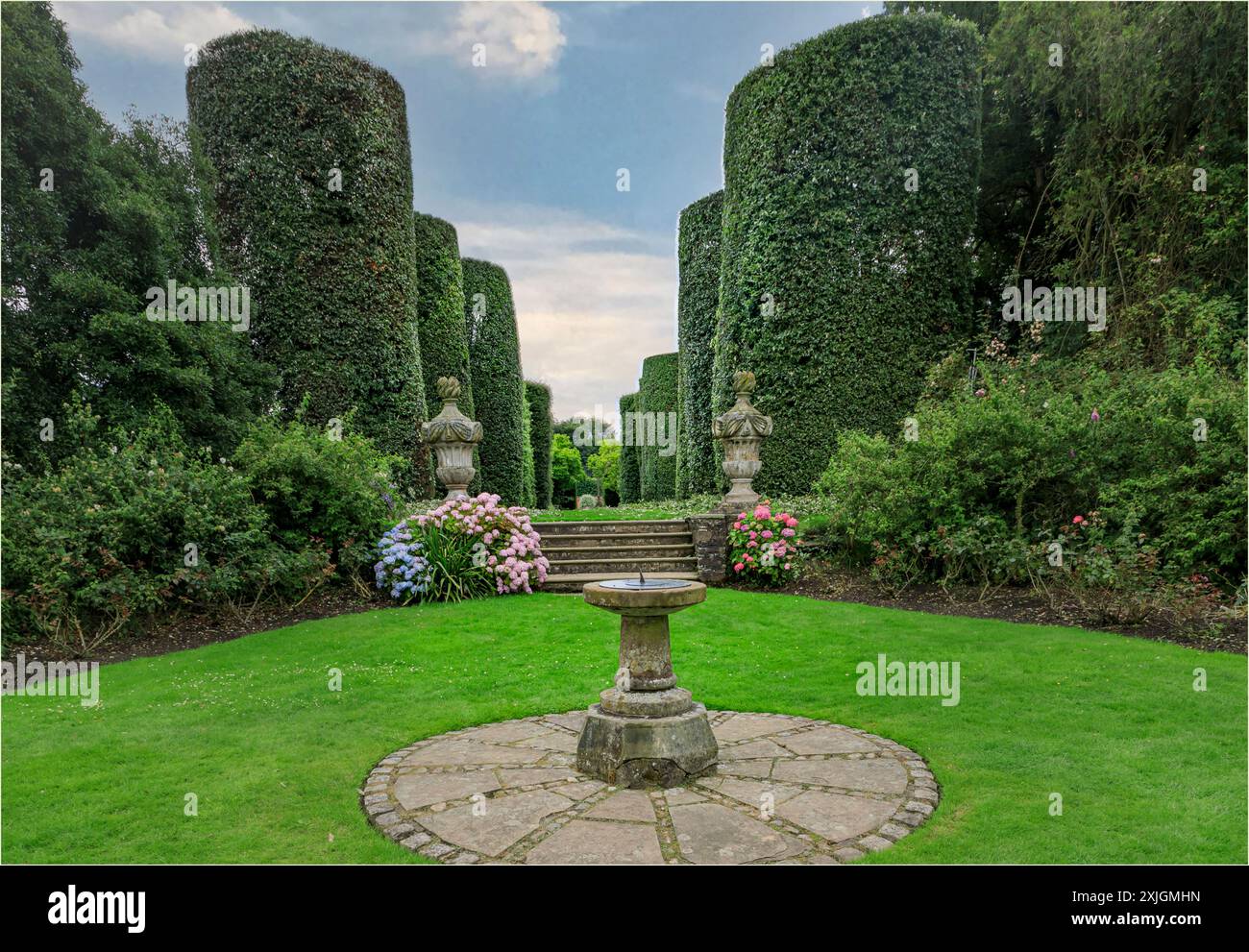 Garden modern hedges hi-res stock photography and images - Alamy