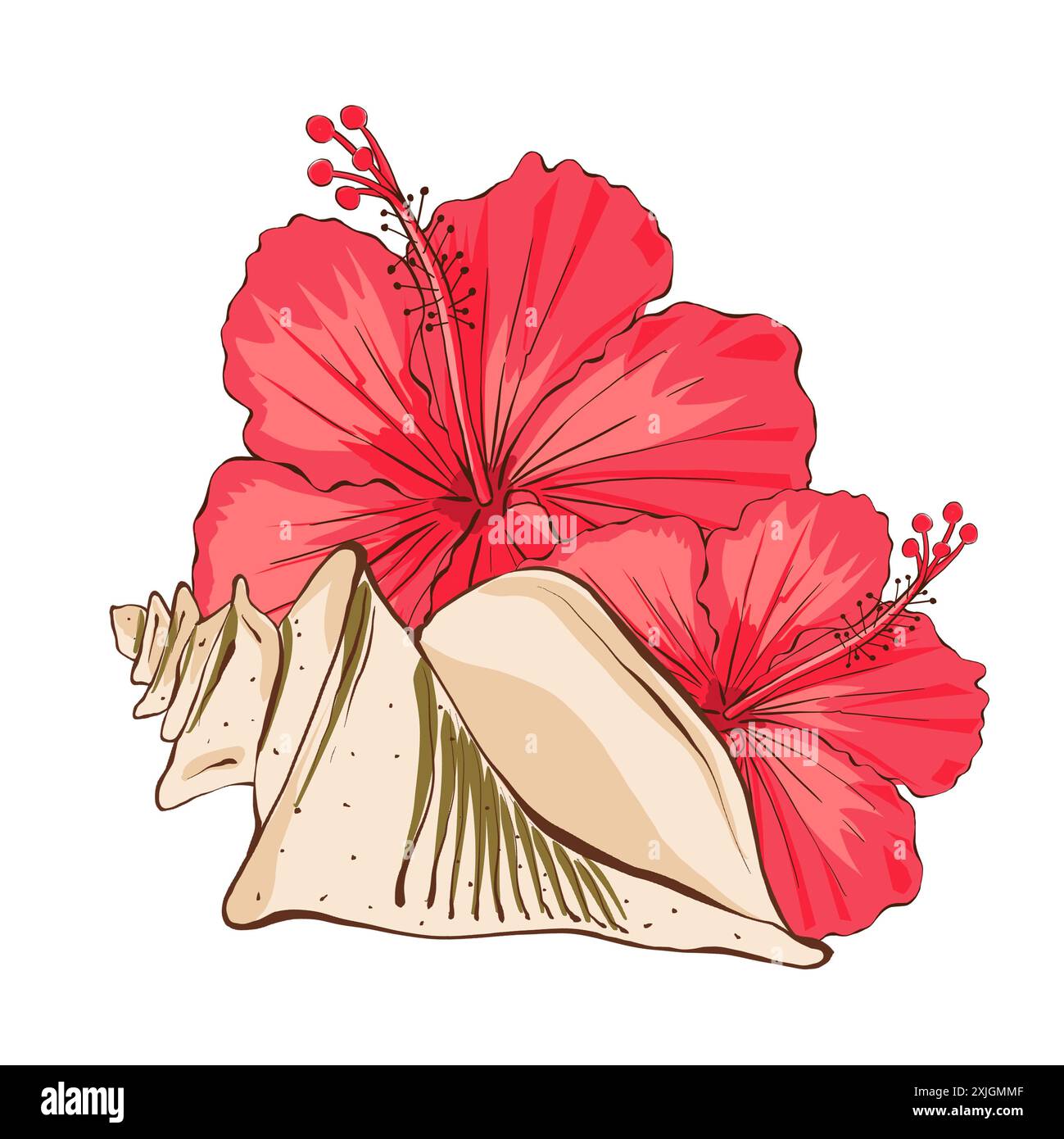 Spiral seashell with red hibiscus flowers. Summer beach composition ...