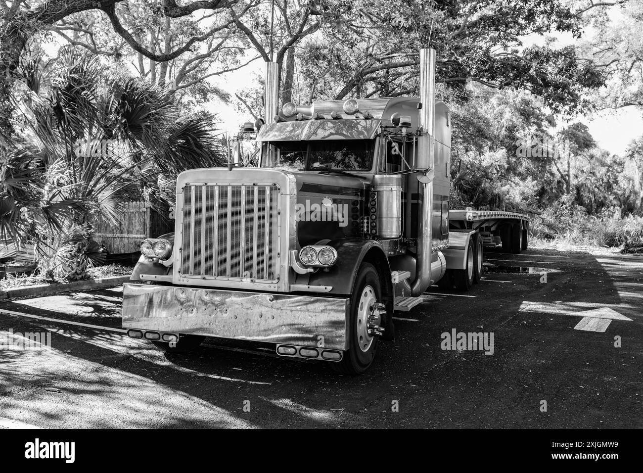 trucking with semitruck vehicle. semi truck in america. freightliner ...