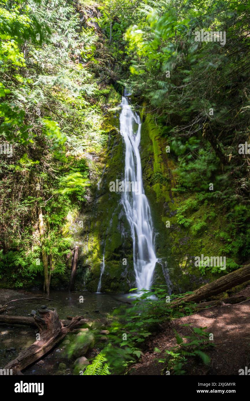 Madison Falls Olympic National Park Washington State Stock Photo - Alamy