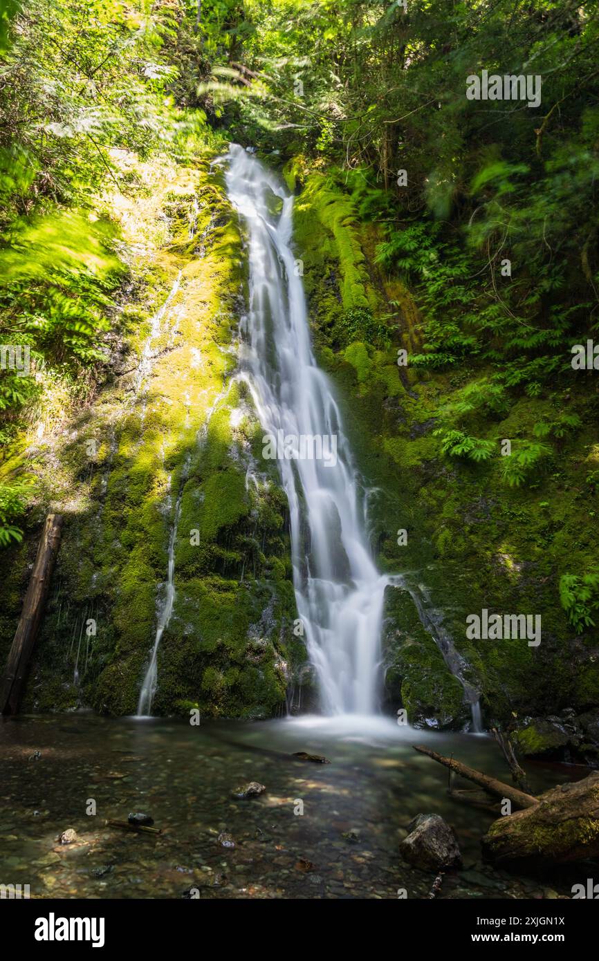 Olympic National Park Madison Falls Stock Photo - Alamy