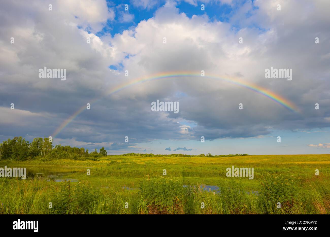 A rainbow over a hayfield in northern Wisconsin Stock Photo - Alamy