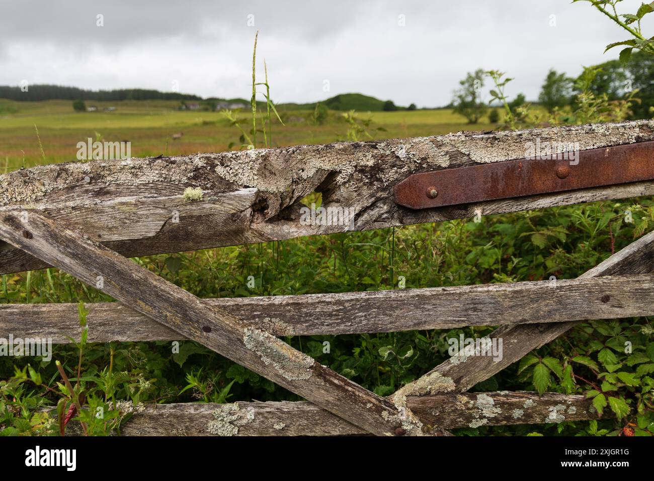 A broken down old gate to a farm in the Scottish Highlands Stock Photo ...