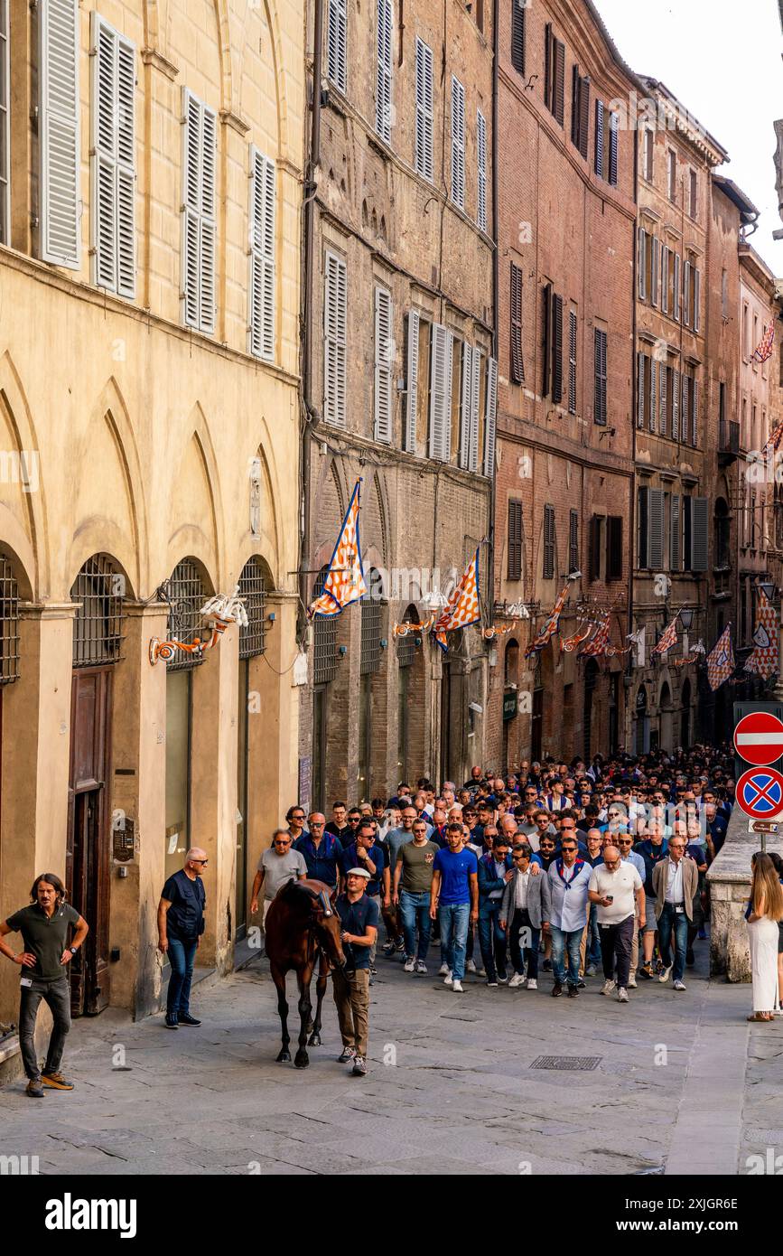The Nicchio (Shell) Contrada Take Their Horse Through The Streets Of ...