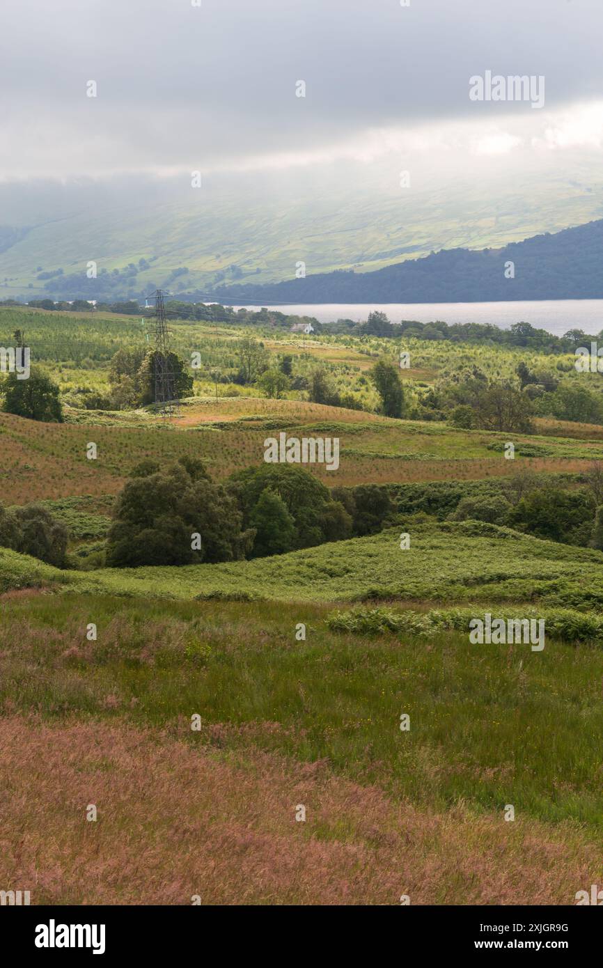 Views of Loch Tay and mountains in Perthshire Scotland Stock Photo - Alamy