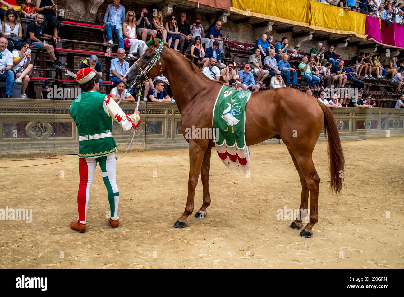 A Member of The Oca (Goose) Contrada Dressed In Medieval Costume Takes ...