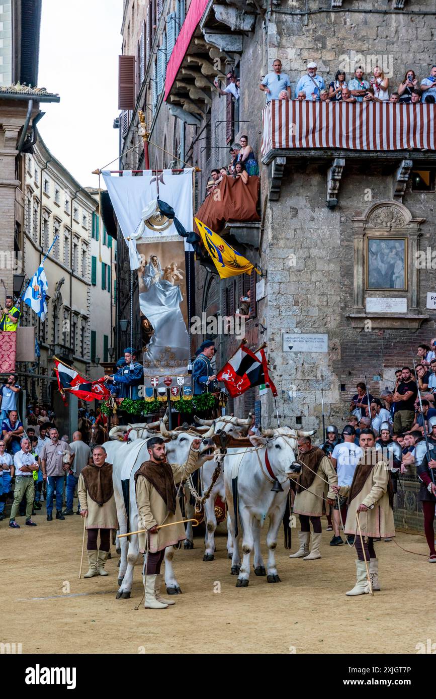 The White Oxen and Palio Silk Banner (The Carroccio) Arrive In The ...