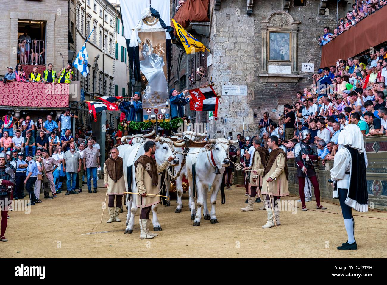 The White Oxen and Palio Silk Banner (The Carroccio) Arrive In The ...